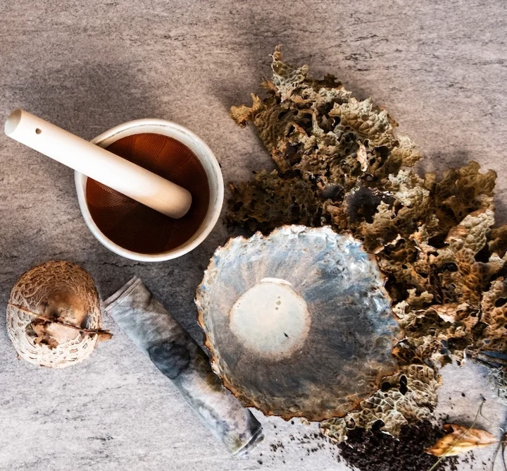 Nyn Esti: Ένας βιότοπος σύγχρονης γαστρονομίας - FlagInLife