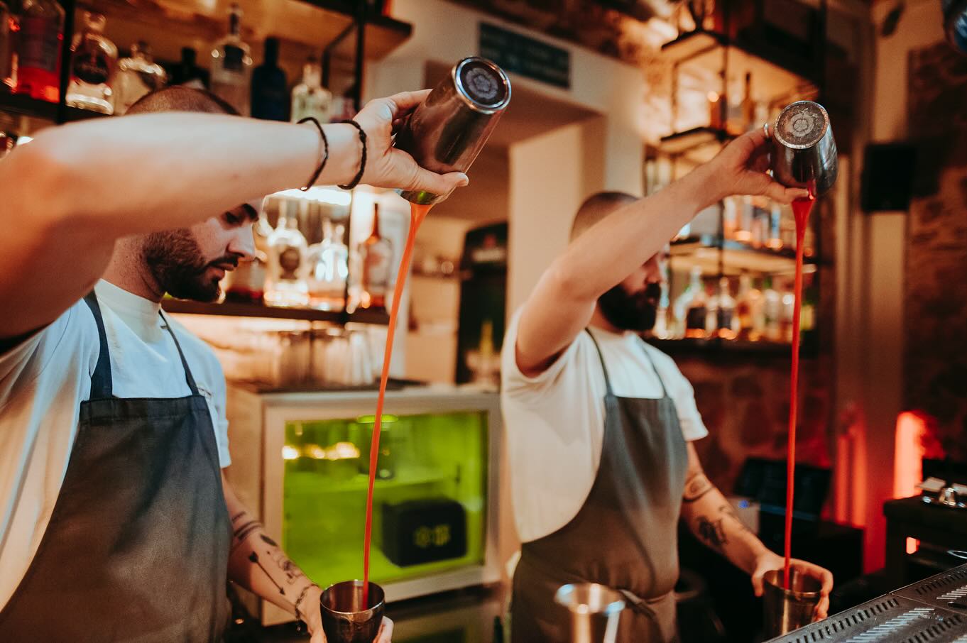 Mockingbird’s - FlagInLife